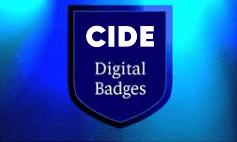 CIDE | The Chartered Institute of Digital Economy